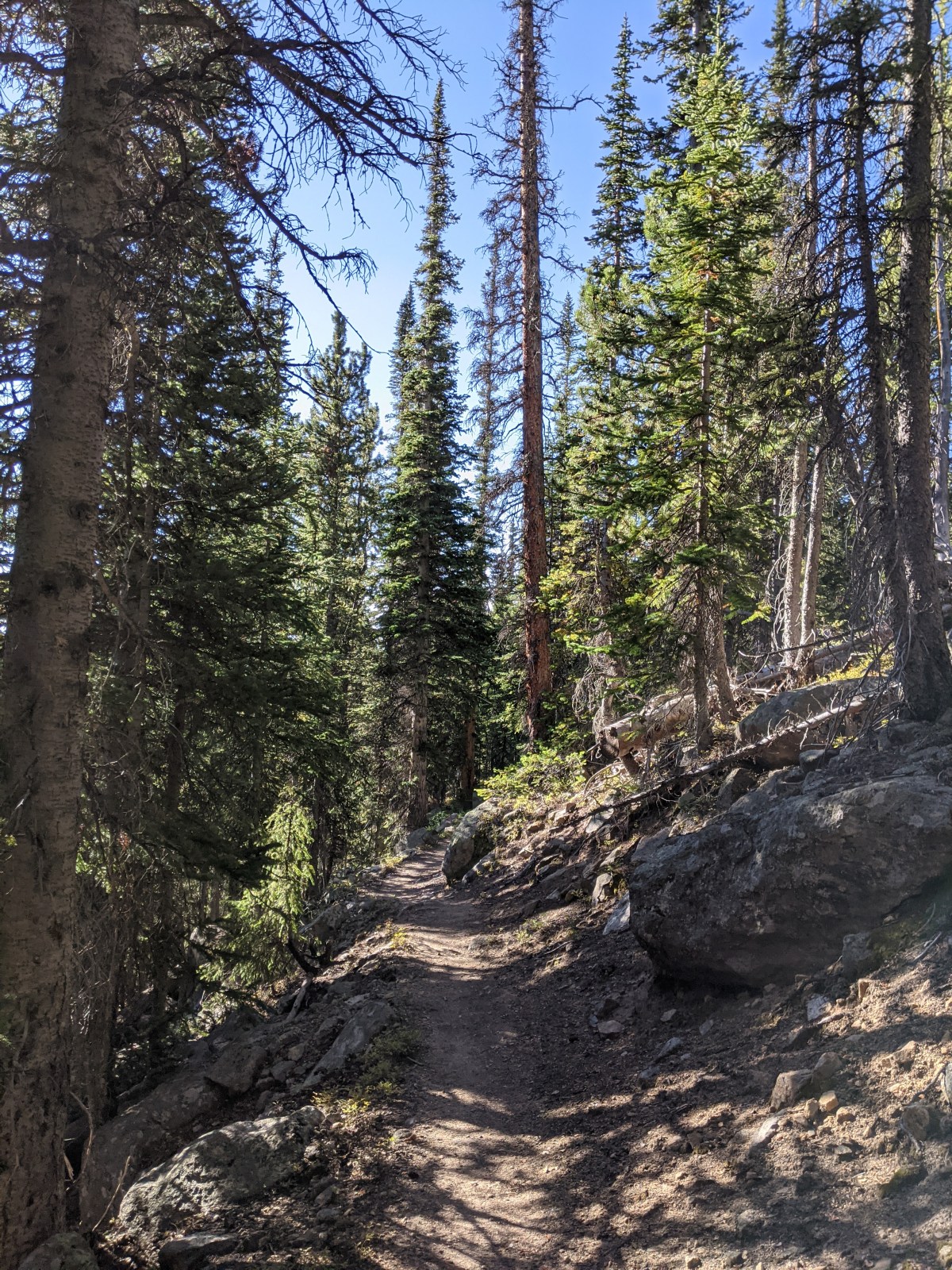 CDT Thru Hike: Colorado Part Two – Heading Roam