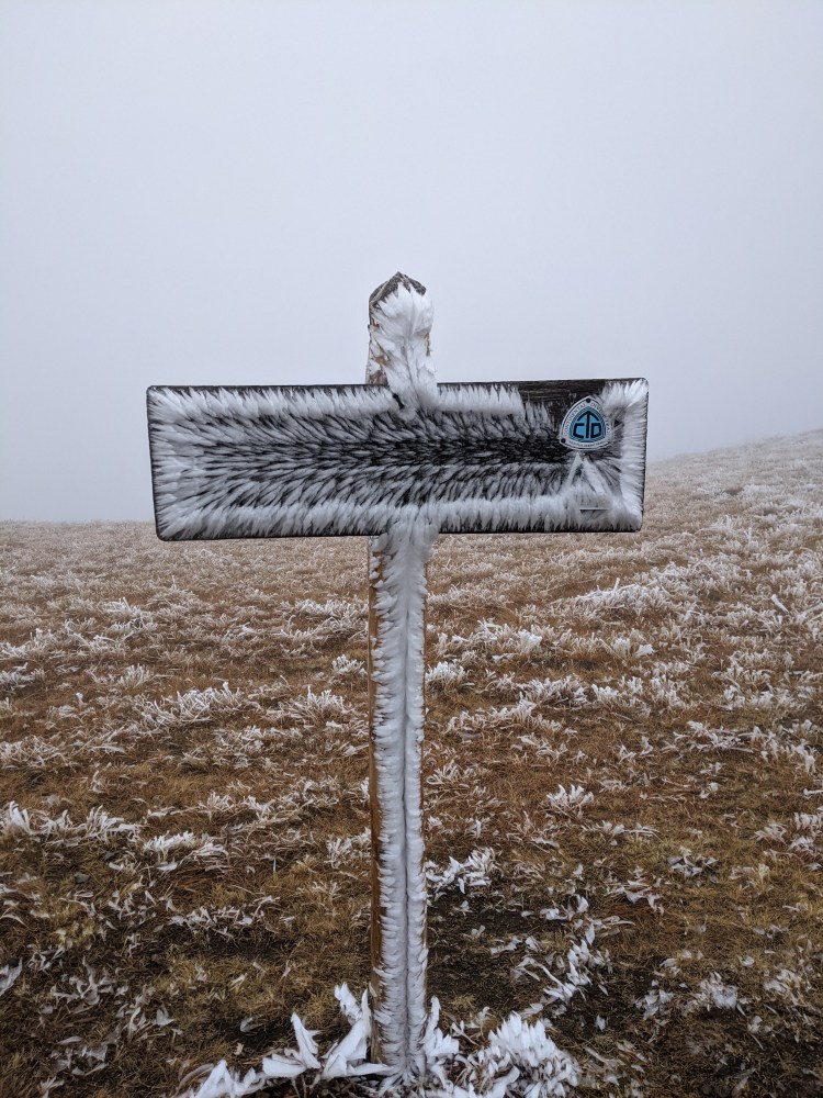 CDT Thru Hike: Colorado Part Two – Heading Roam