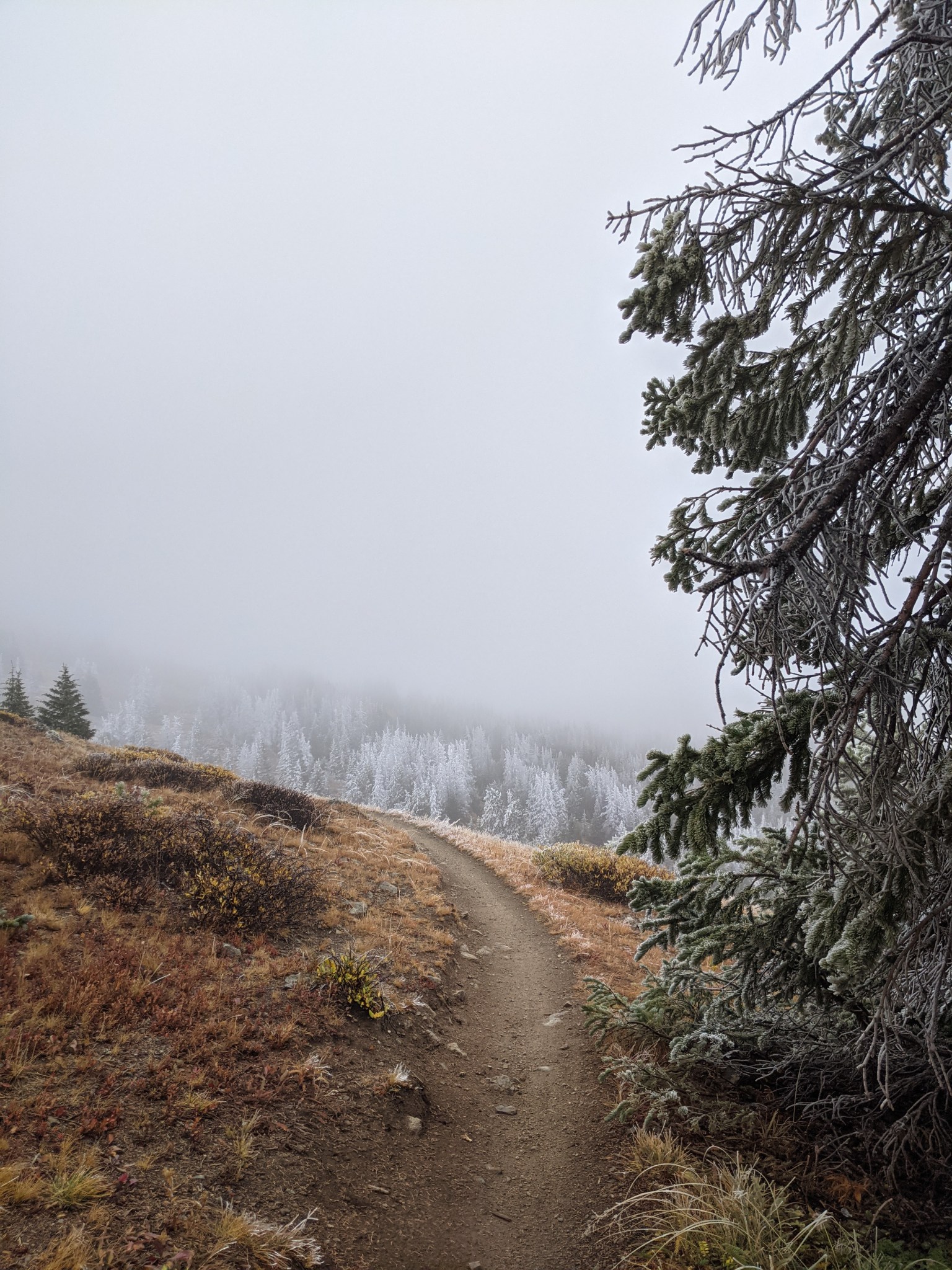 CDT Thru Hike: Colorado Part Two – Heading Roam