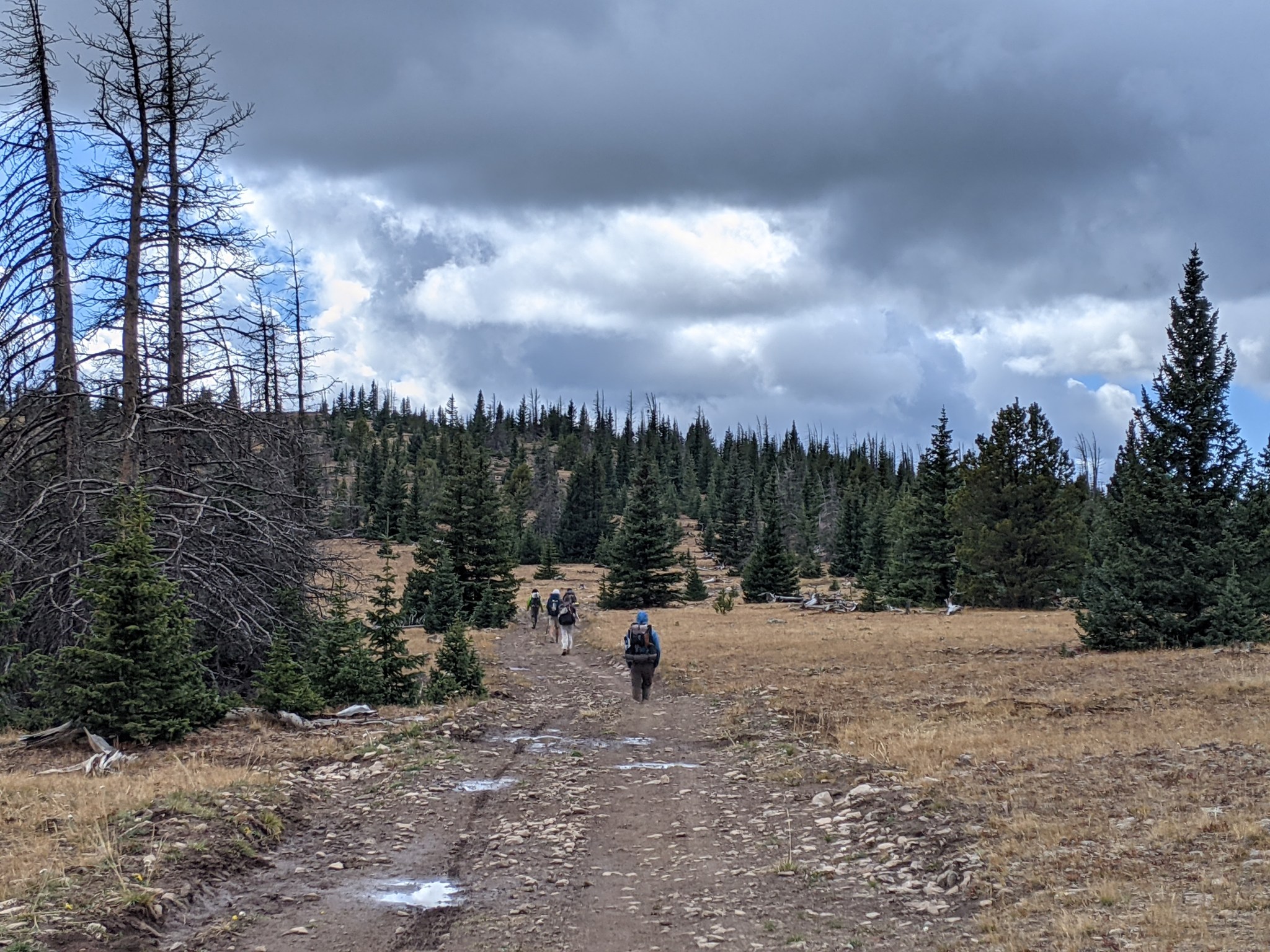 CDT Thru Hike: Colorado Part Two – Heading Roam